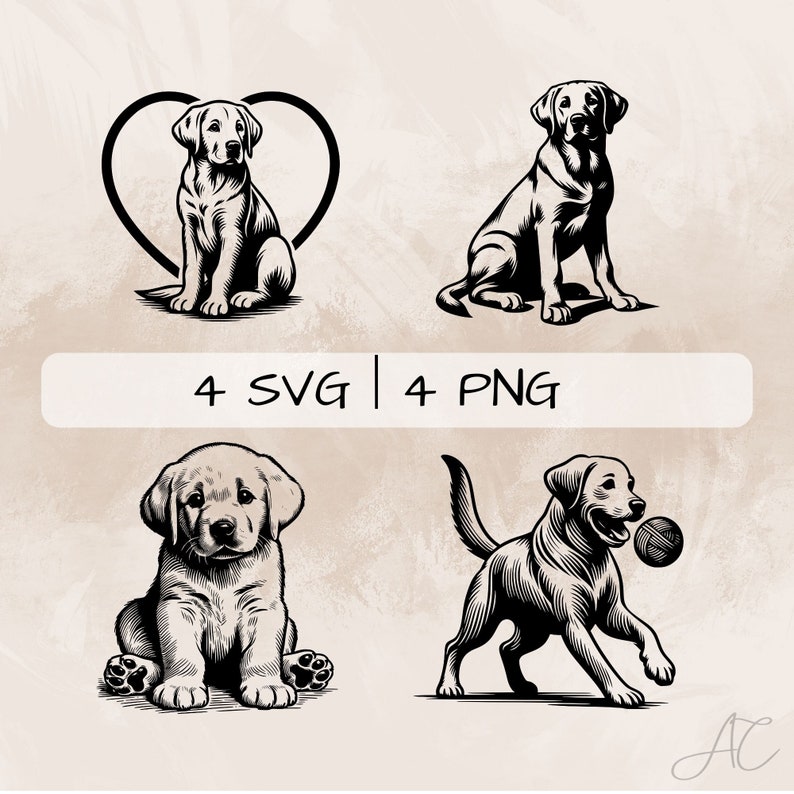 Labrador Retriever SVG Bundle, Labrador PNG, Dog Clipart, Hand Drawn ...