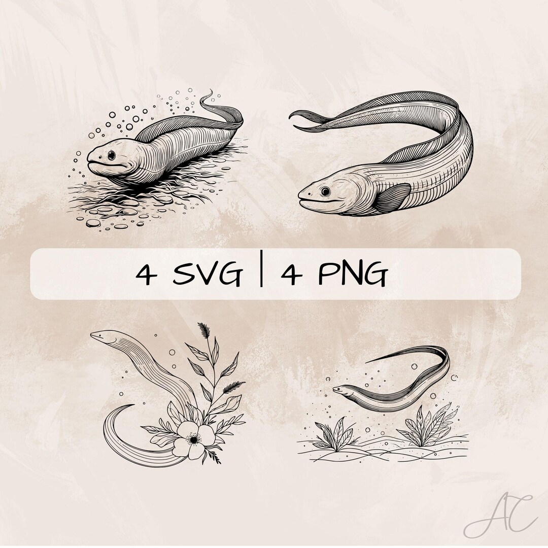 Delicate Eel SVG Bundle, Eel PNG ,eel Clipart, Hand Drawn Eel Pictures ...
