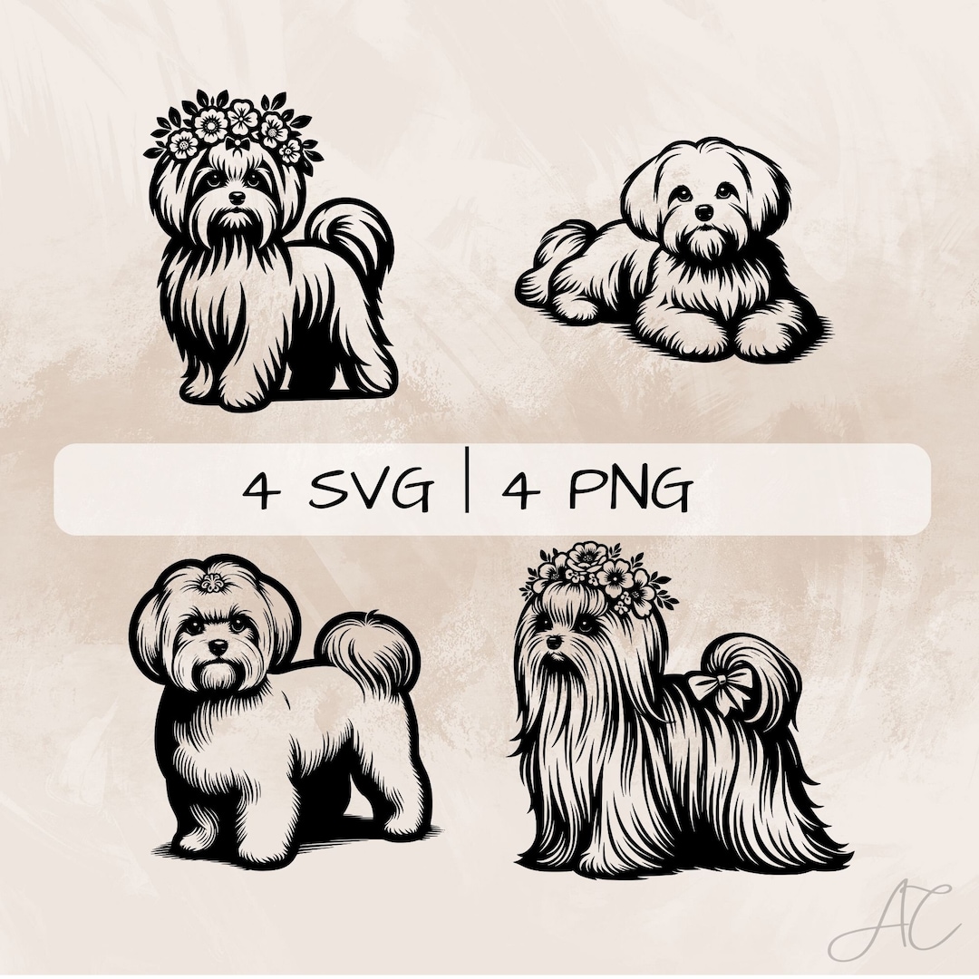 Maltese SVG Bundle, Maltese and Flowers PNG, Maltese Dog Clipart , Hand ...