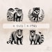 Coati SVG Bundle, Cute Coati PNG ,coati Clipart, Hand Drawn Coati ...