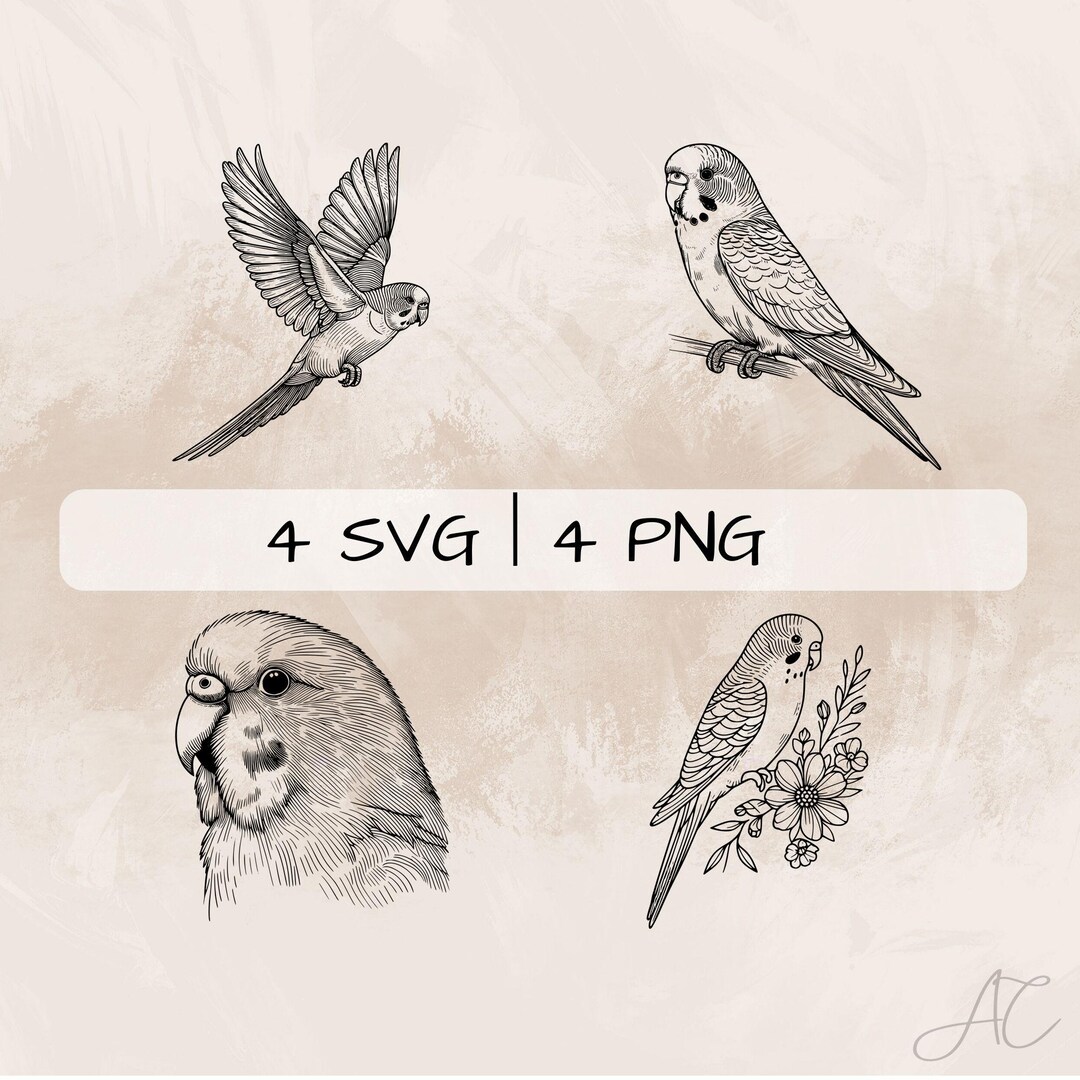 Parakeet SVG Bundle, Budgie Line Art PNG, Floral Budgerigar Clipart ...