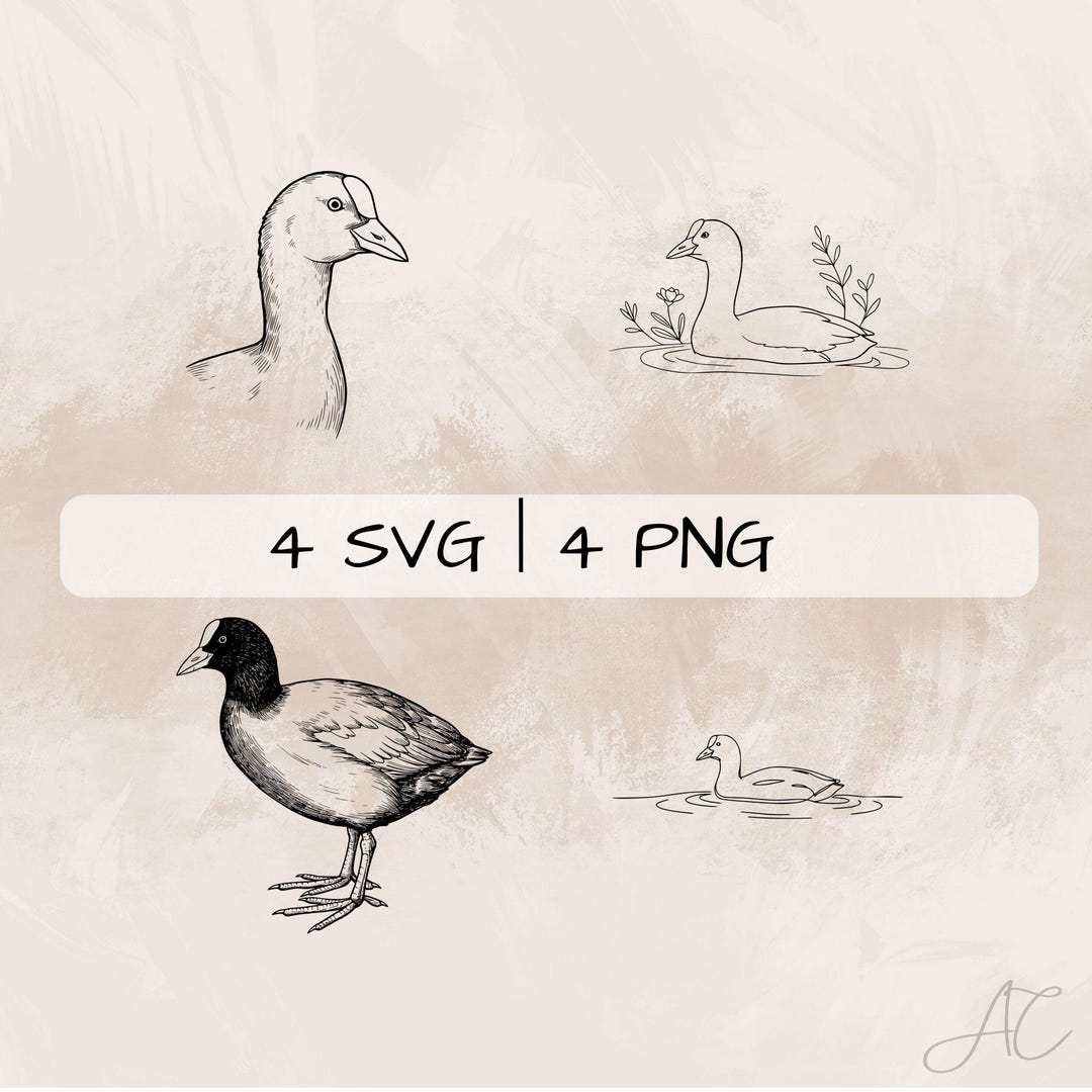 Coot SVG Bundle, Coot Bird PNG ,coot Clipart, Hand Drawn Coot Pictures ...