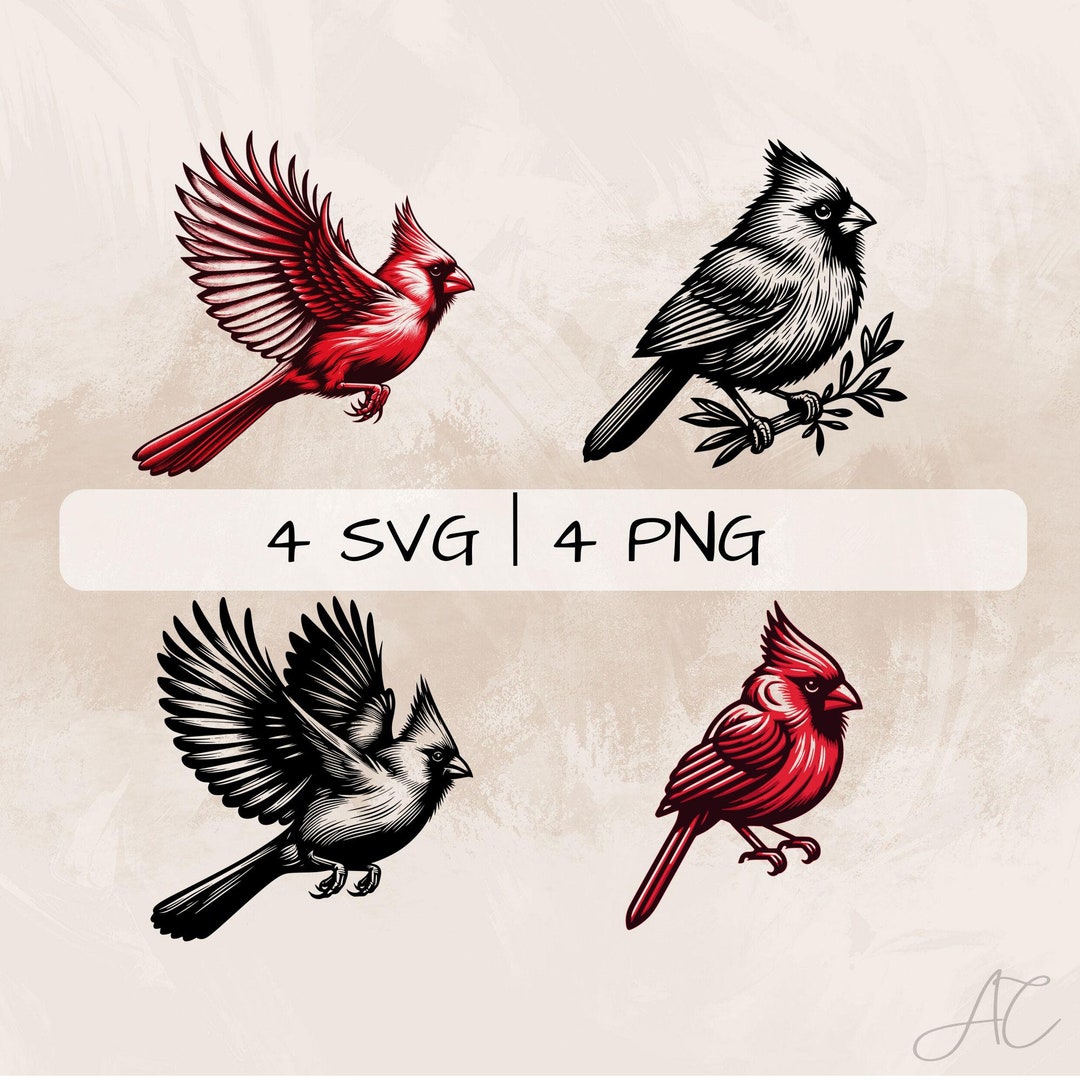Northern Cardinal SVG Bundle, Red Cardinal PNG, Cardinal Layered ...
