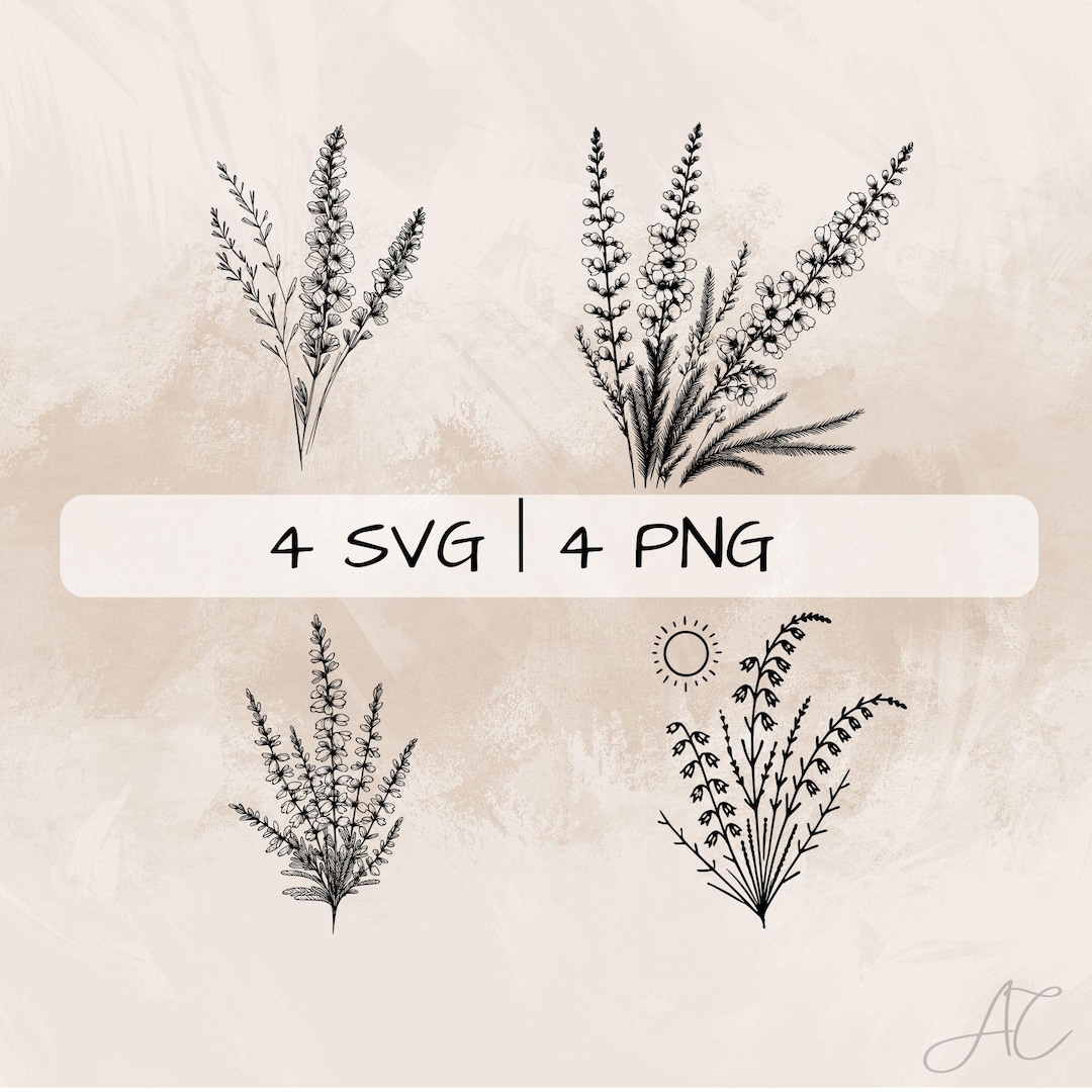 Heather Flower SVG Bundle, Calluna PNG, Common Heather Clipart, Hand ...