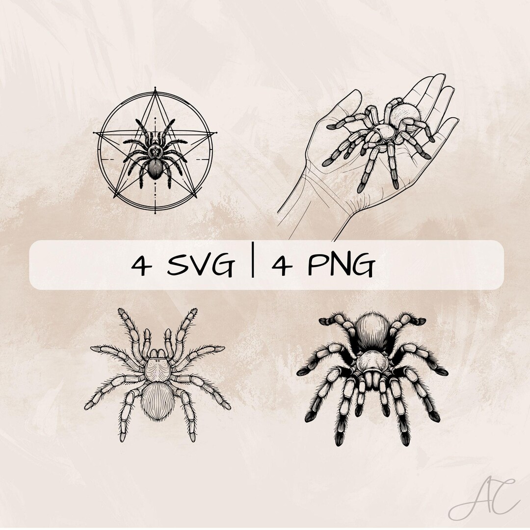 Tarantula SVG Bundle, Spider PNG ,tarantula Spider Clipart, Hand Drawn ...