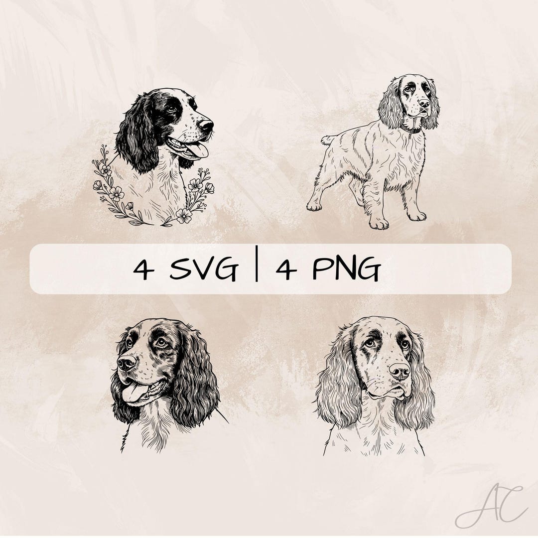 English Springer Spaniel SVG Bundle, English Spaniel PNG, Hand Drawn ...