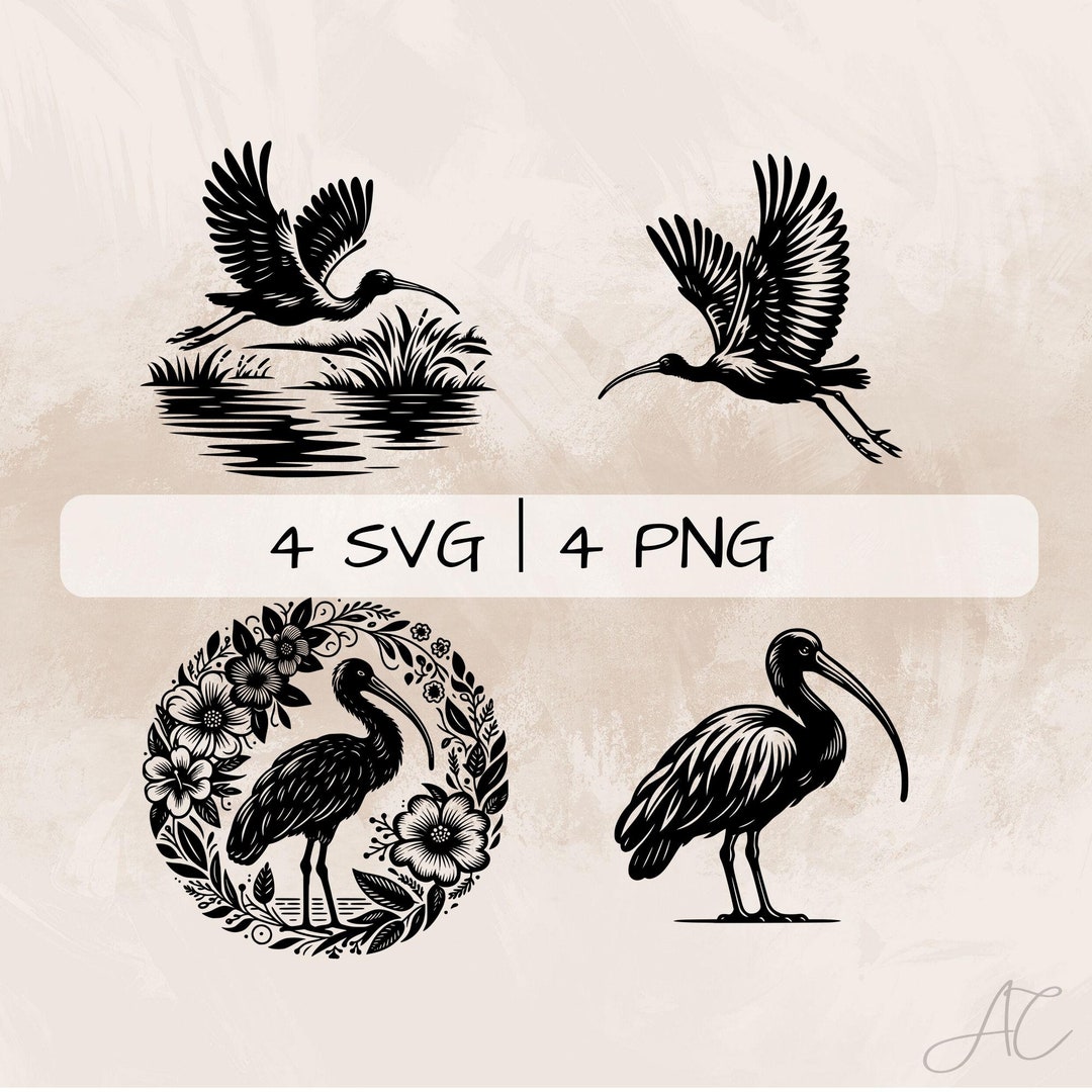 Ibis SVG Bundle, Flying Ibis PNG ,floral Ibis Clipart, Hand Drawn Ibis ...
