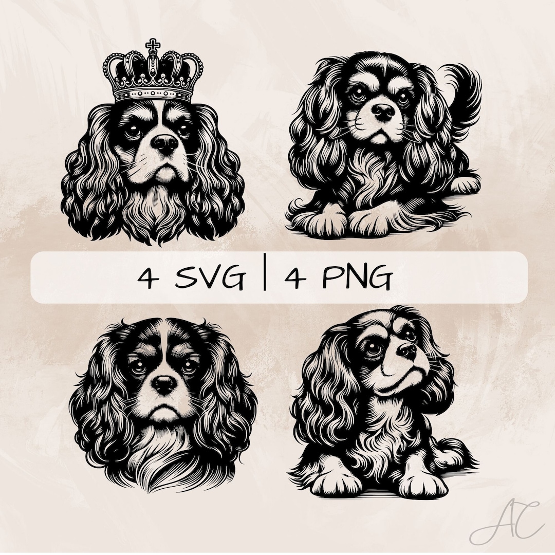 Cavalier King Charles Spaniel SVG Bundle, Cavalier King PNG, Spaniel ...