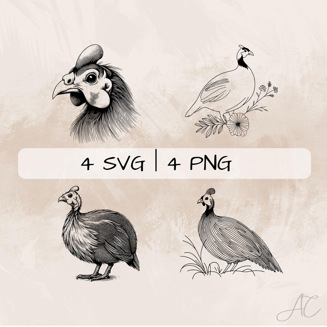 Guinea Fowl SVG Bundle, Guinea Fowl Bird PNG ,guinea Fowl Clipart, Hand ...