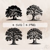 Volcano SVG Bundle, Volcano Scene PNG ,volcano Eruption Clipart, Hand ...
