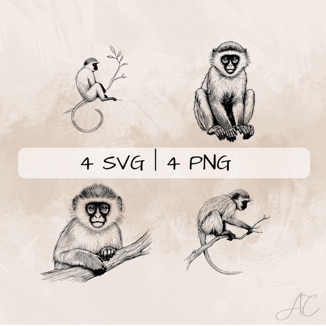 Delicate Vervet Monkey SVG Bundle, Monkey Line Art PNG, Monkey Face ...