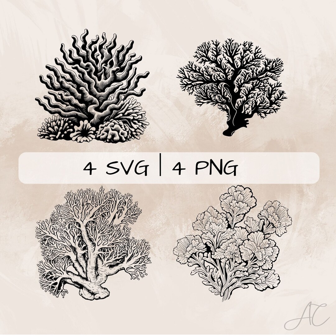 Corals SVG Bundle, Corals PNG, Coral Clipart, Hand Drawn Corals ...