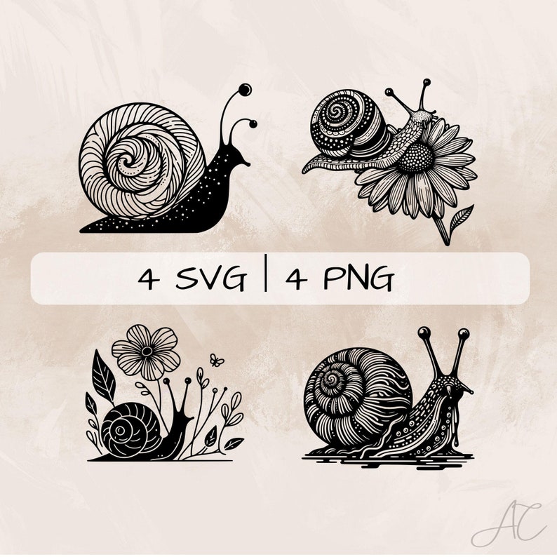 Snail SVG Bundle, Floral Snail PNG, Snail and Flower Clipart, Hand ...