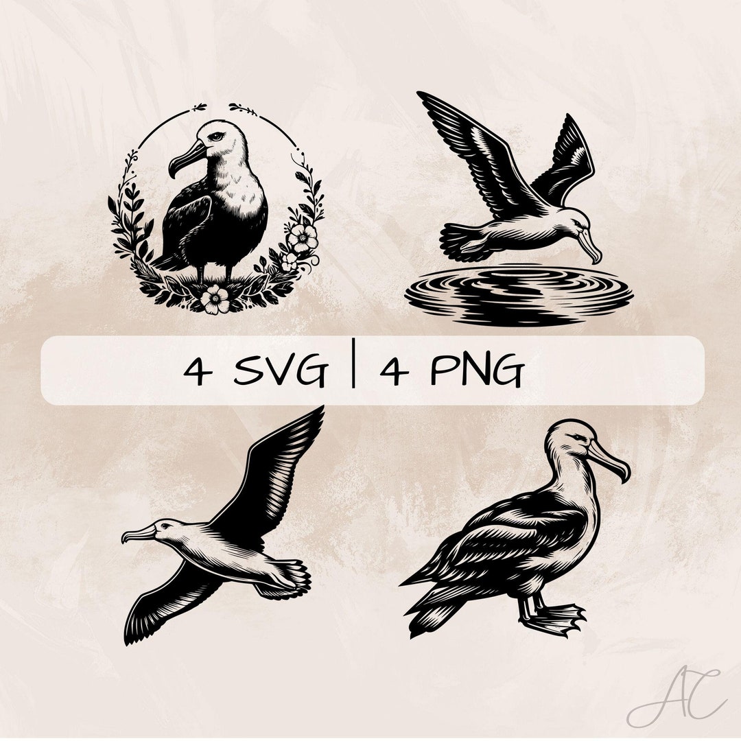 Albatross SVG Bundle, Flying Albatross PNG , Floral Albatross Clipart ...