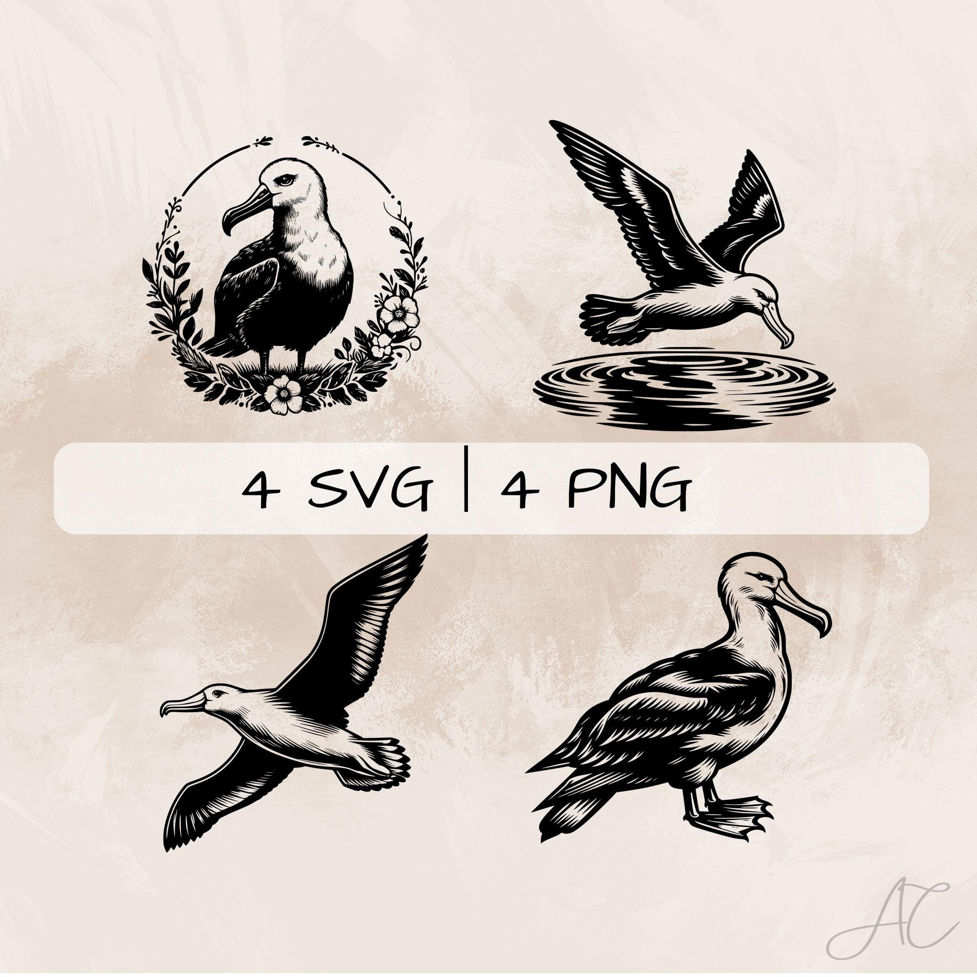 Albatross SVG Bundle, Flying Albatross PNG , Floral Albatross Clipart ...