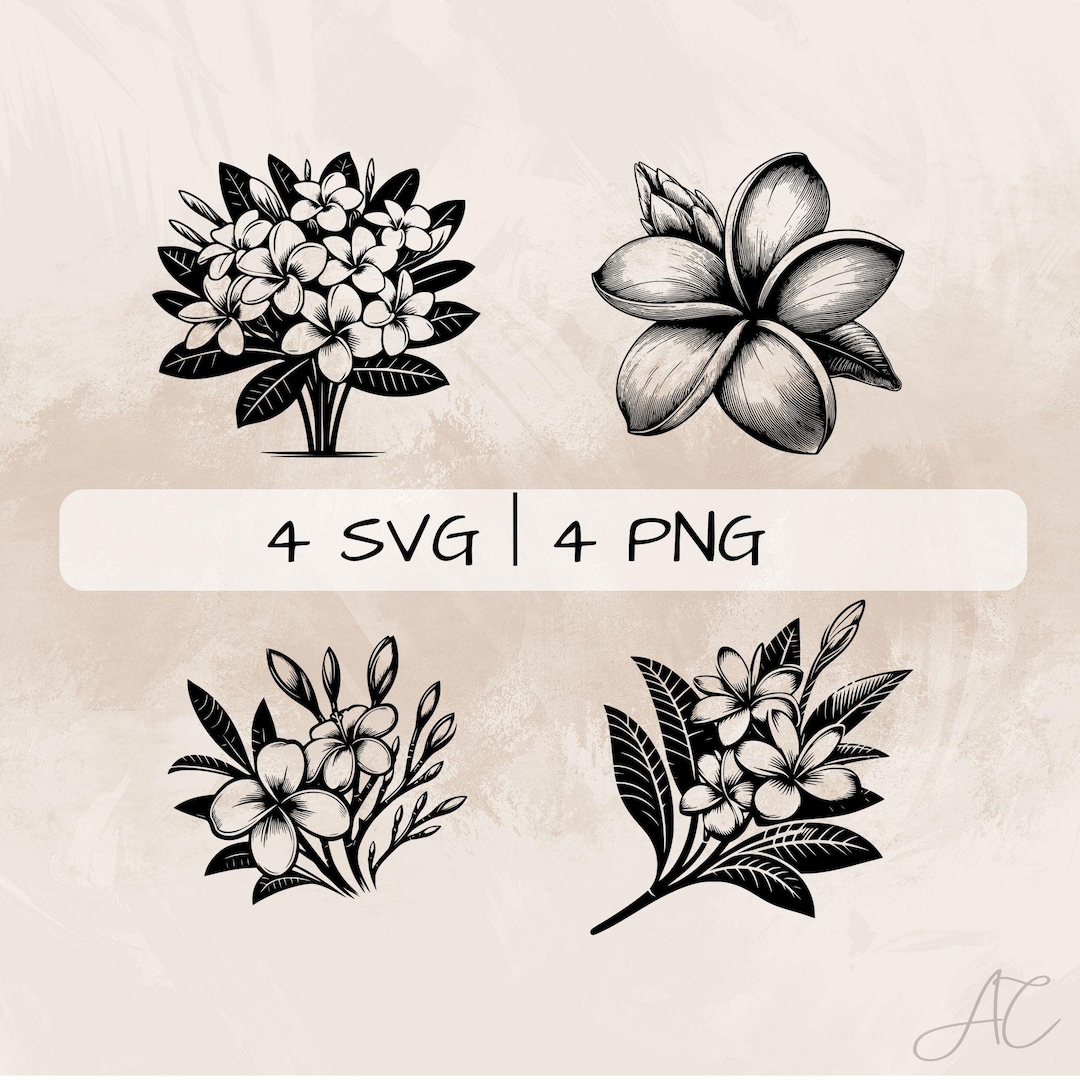 Plumeria SVG Bundle, Plumeria Flower PNG ,plumeria Bouquet Clipart ...