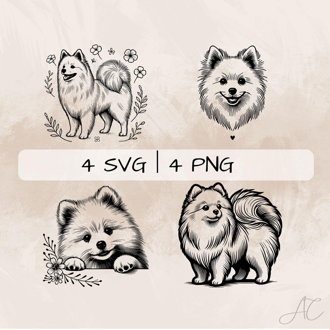 American Eskimo SVG Bundle, Toy American Eskimo PNG, Floral American ...