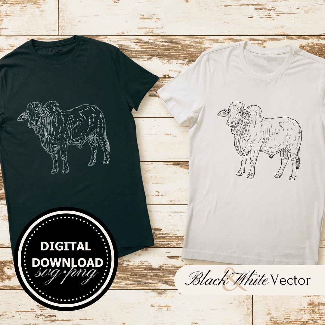 American Brahman SVG Bundle, Brahman PNG , Cattle Clipart, Hand Drawn ...