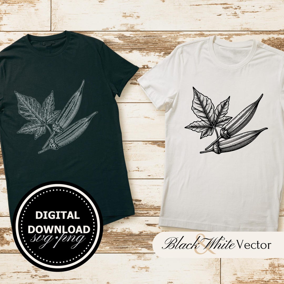 Okra SVG Bundle, Vegetable PNG, Food Clipart, Hand Drawn Okra Pictures ...