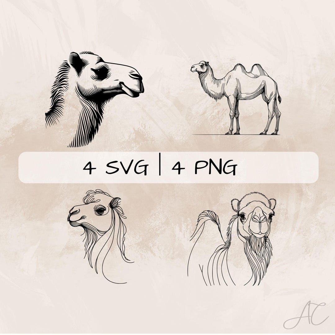 Delicate Camel SVG Bundle, Camel Line Art PNG, Camel Face Clipart, Hand ...