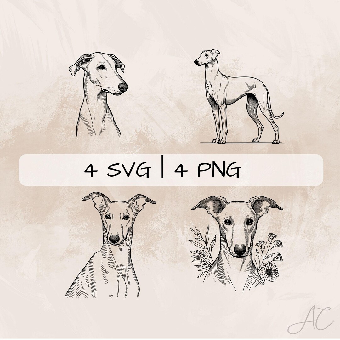 Azawakh SVG Bundle, Idi PNG, Hanshee Clipart, Hand Drawn Oska Pictures ...