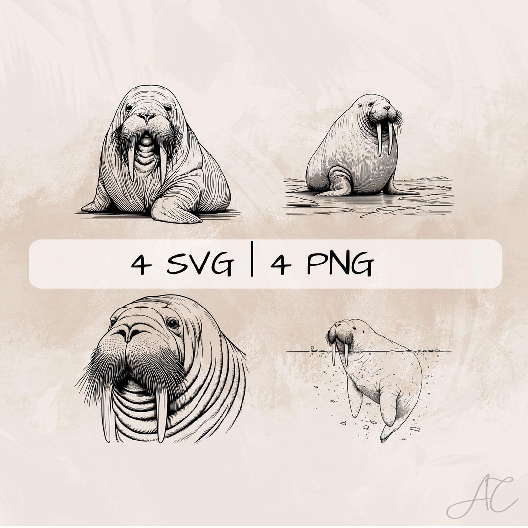 Walrus SVG Bundle, Walrus Face PNG ,walrus Clipart, Hand Drawn Walrus ...