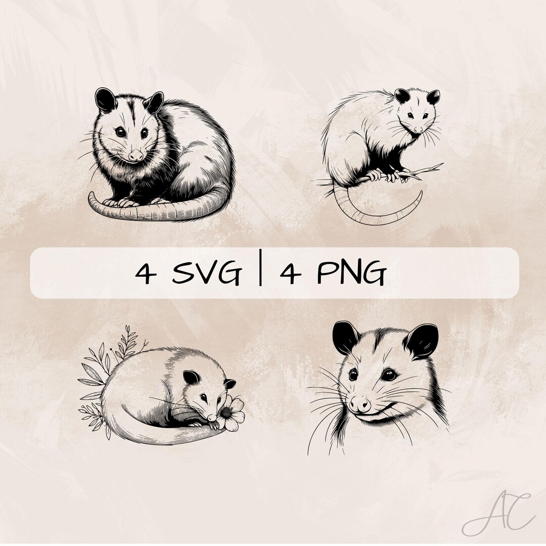 Opossum SVG Bundle, Possum PNG , Cute Opossum Clipart, Hand Drawn ...