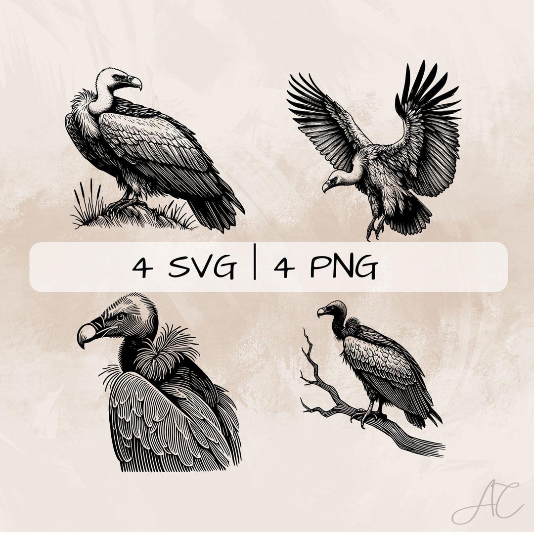Vulture SVG Bundle, Flying Vulture PNG, Vulture on Tree Clipart, Hand ...