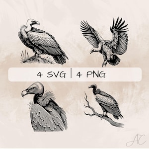 Vulture SVG Bundle, Flying Vulture PNG, Vulture on Tree Clipart, Hand ...
