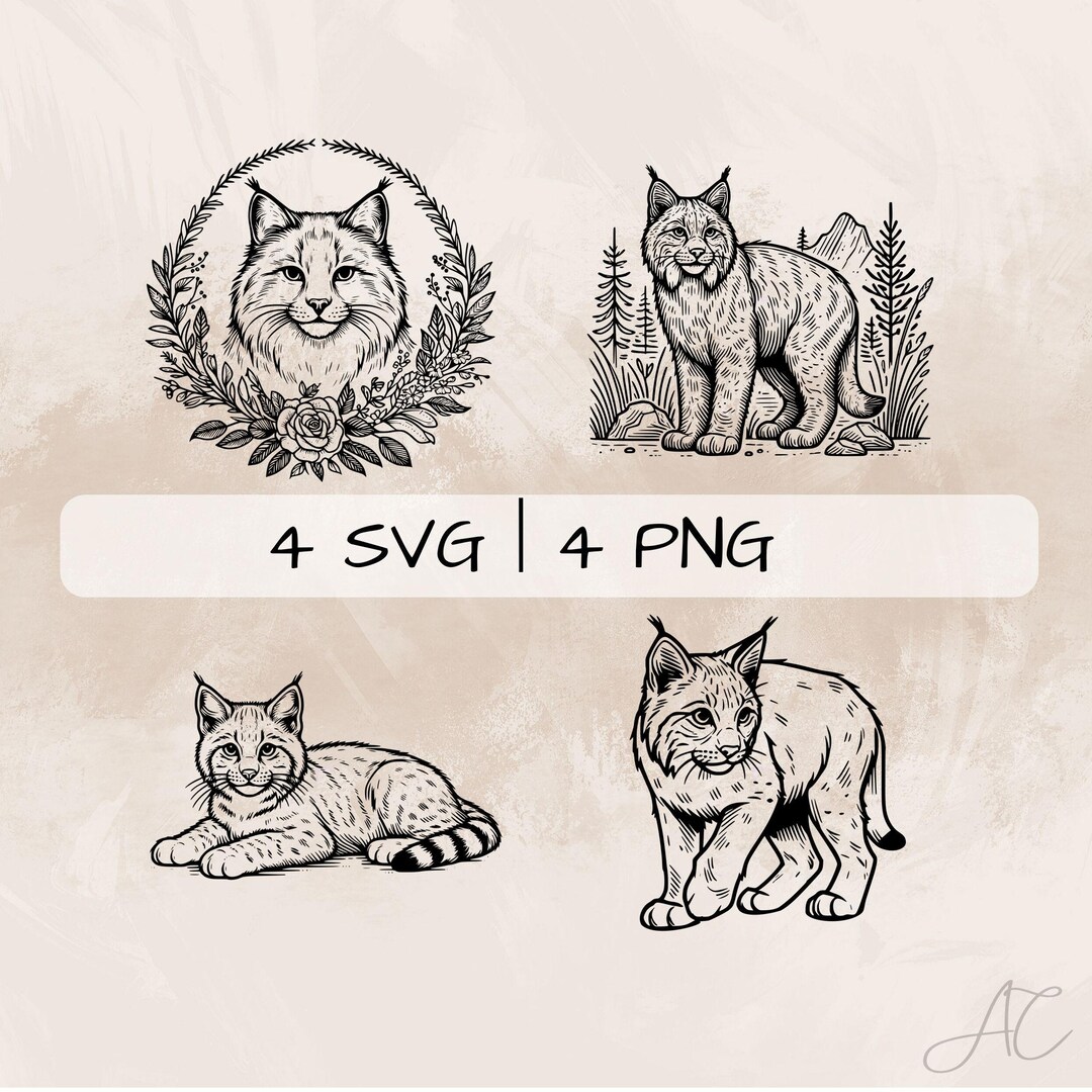 Bobcat SVG Bundle, Wild Cat PNG , Bobcat Clipart, Hand Drawn Bobcat ...