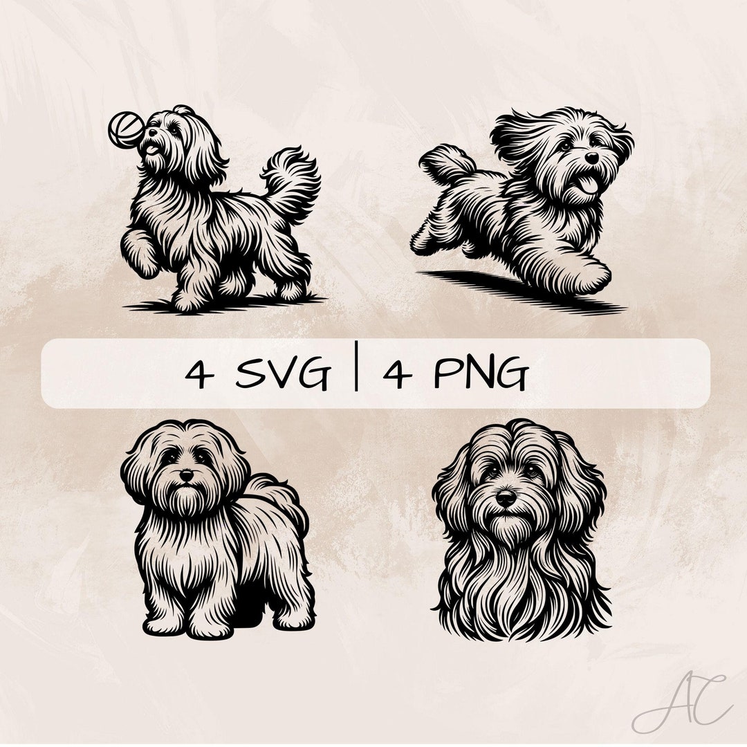 Havanese SVG Bundle, Havanese Dog PNG ,havanese Running Clipart, Hand ...