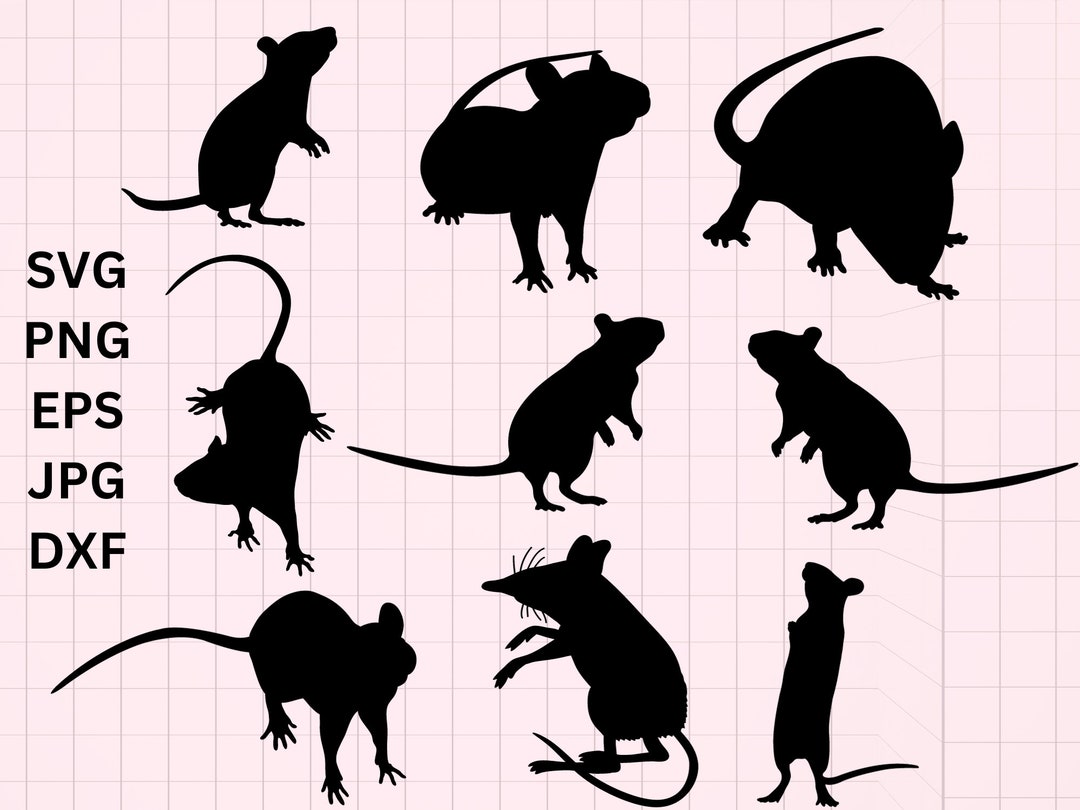 Rat Bundle Svg, Rat Clipart, Mouse Cricut, Rat Silhouettes, Rats Svg ...
