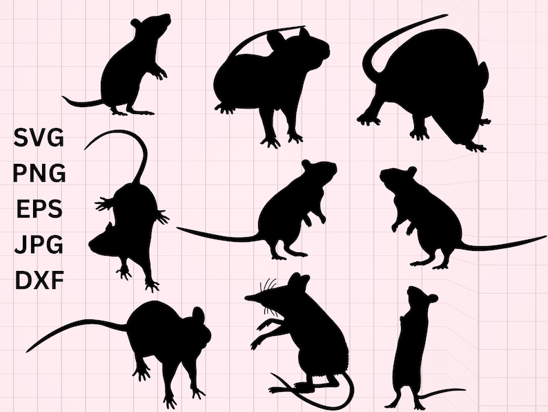 Rat SVG Bundle, Rat PNG Bundle, Rat Clipart, Rat Cut Files for Cricut ...