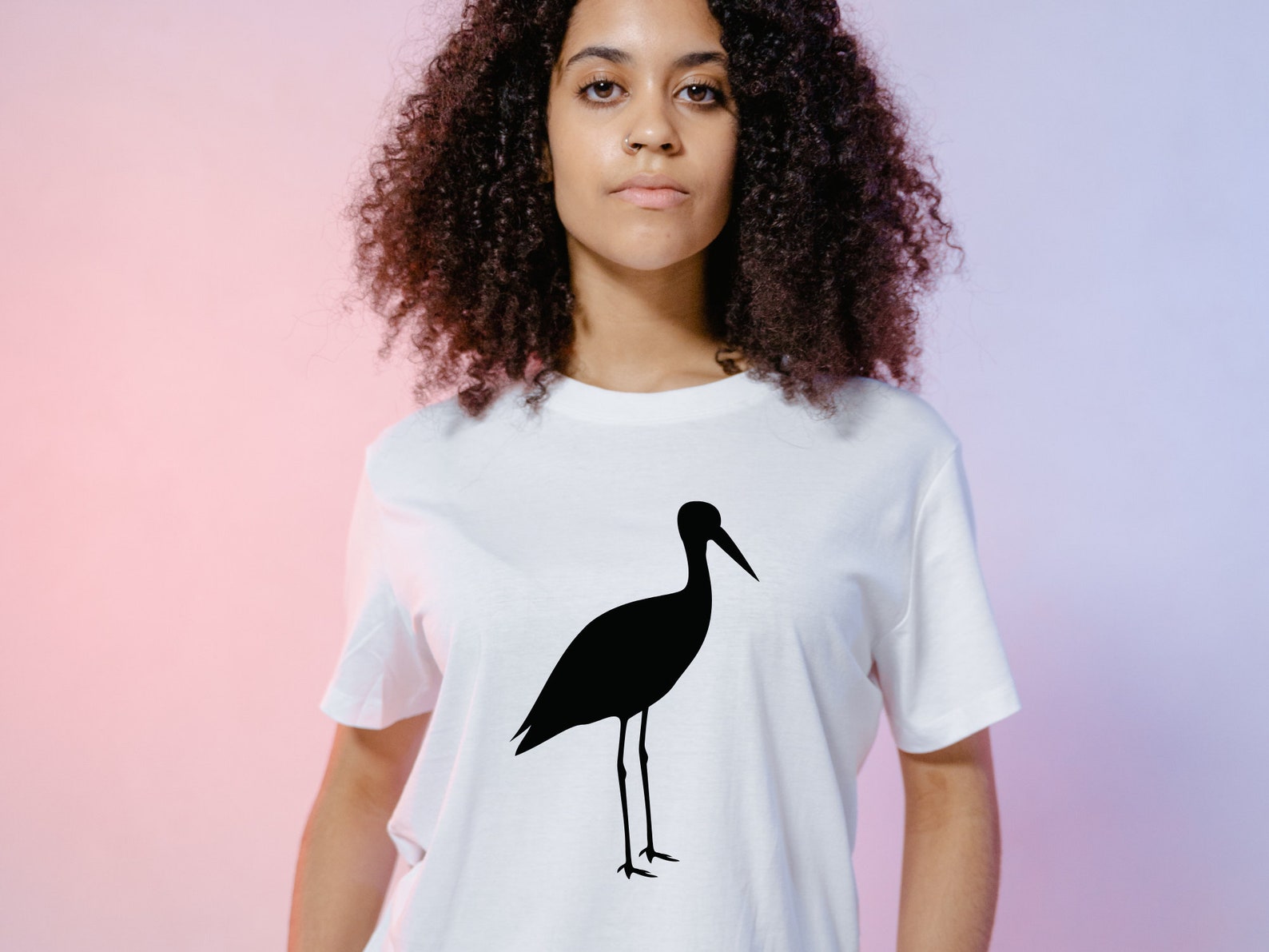 Stork Svg Bundle, Stork Clipart, Stork Cut File, Bird Svg, Bird Clipart ...