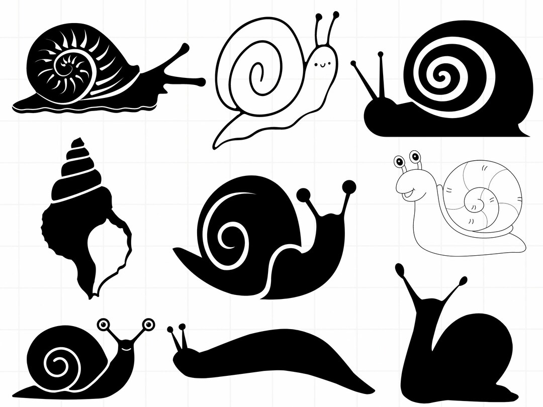 Snail SVG, Snail SVG Bundle, Snail Clipart, Cartoon Snail, Snail Vector ...