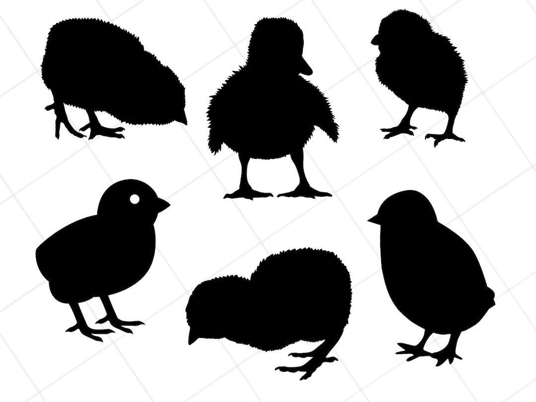 Baby Chick Silhouette SVG Vector Cut File , Baby Chick Svg, Bird SVG ...