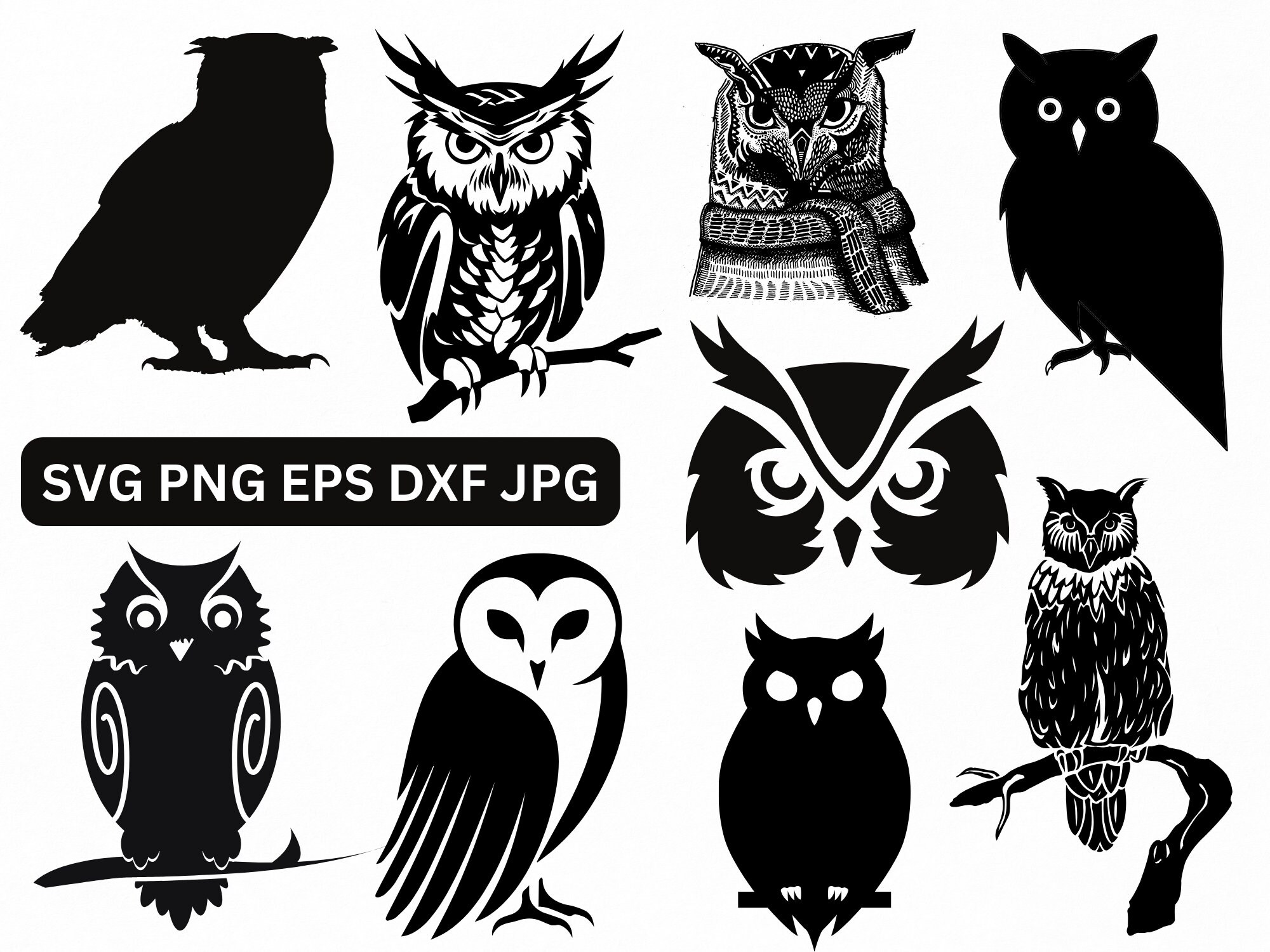 Owl Svg Bundle, Owl Designs, Owl Png, Floral Owl Svg, Owl Vector, Owl ...