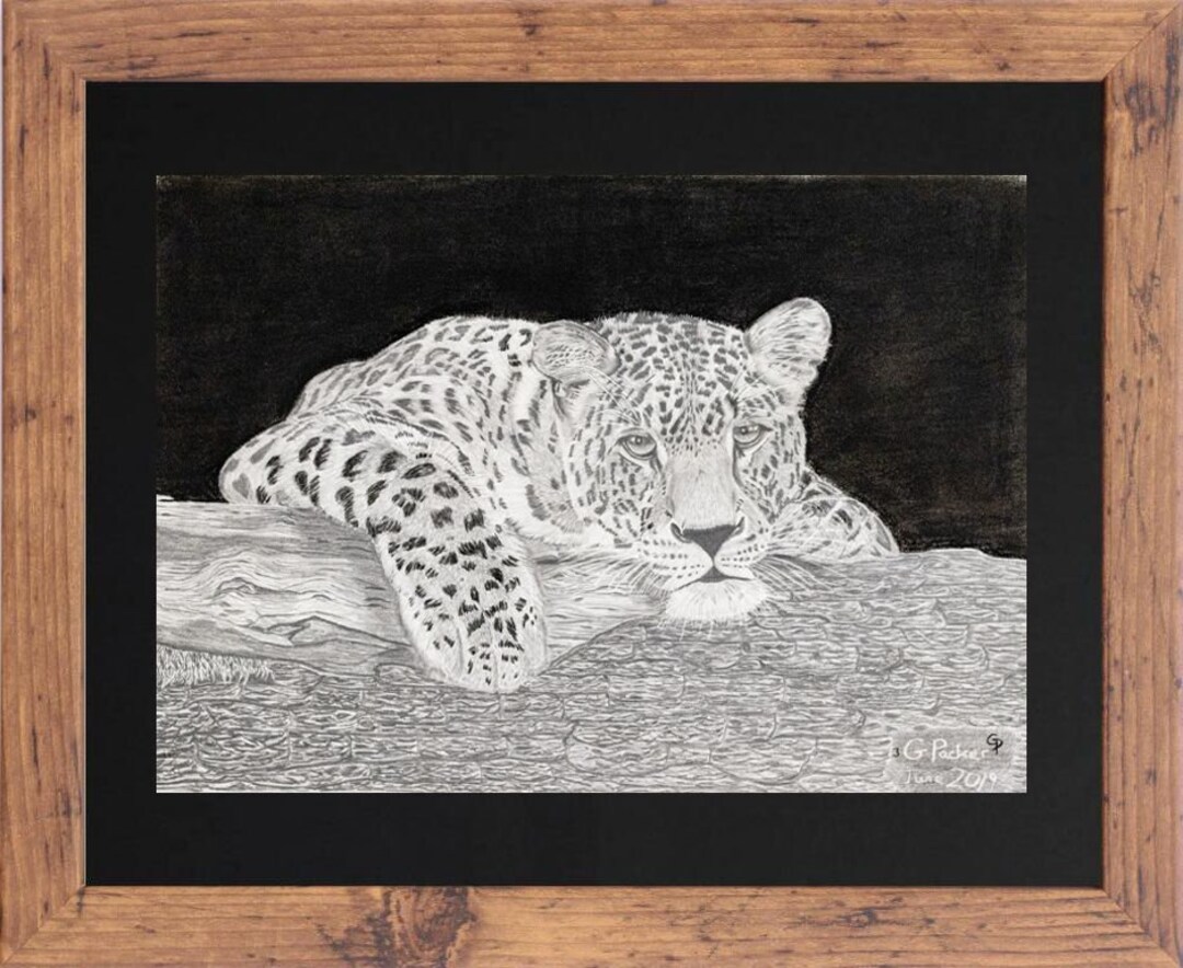 Leopard Peering Over a Tree in Graphite Pencil on Art Paper - Etsy