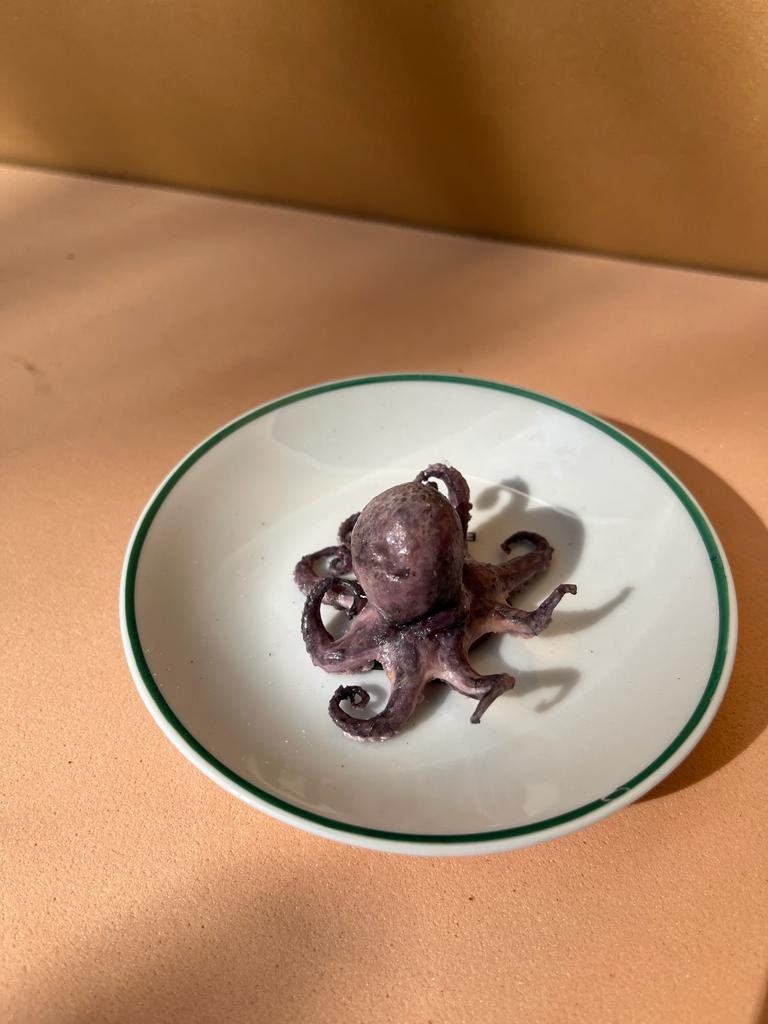 Food Props/ Fake Food Replicas/ Hyper Realistic Food Sculpture/ Faux ...