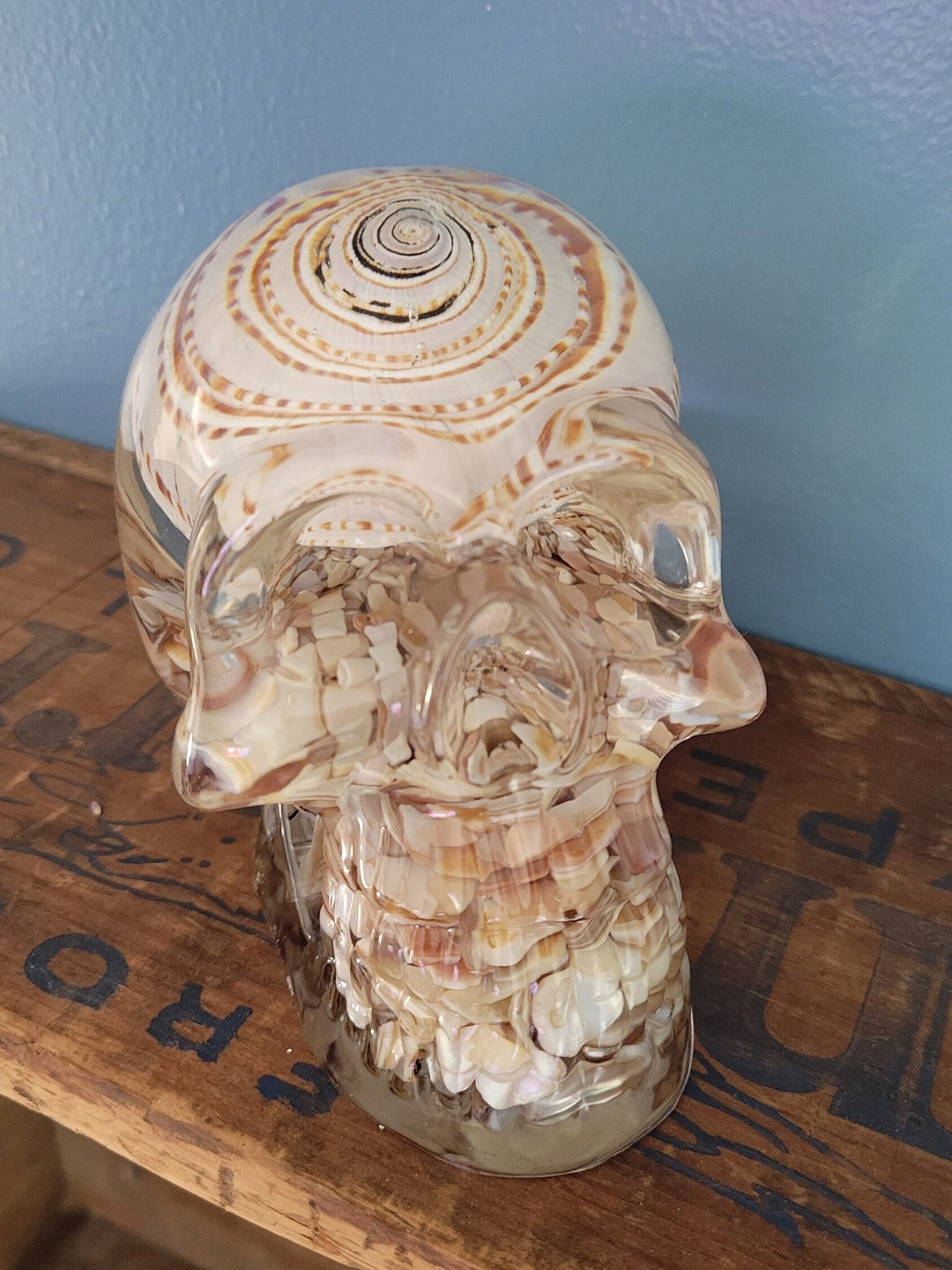Large Resin Skull With Sundial Seashell and Crushed Shells - Etsy