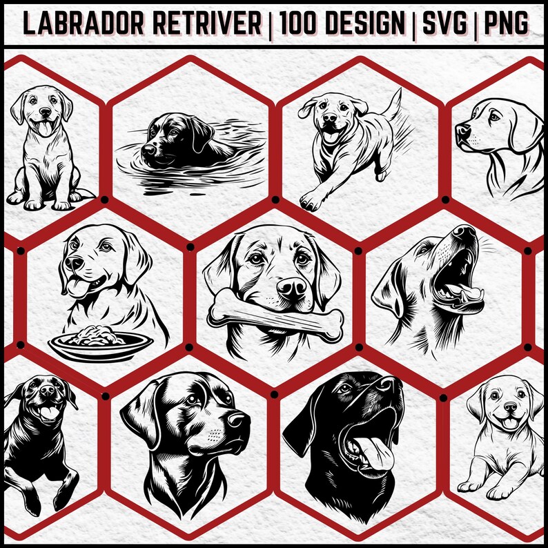 Labrador Retriever SVG | Dog SVG File for Cricut & Silhouette ...