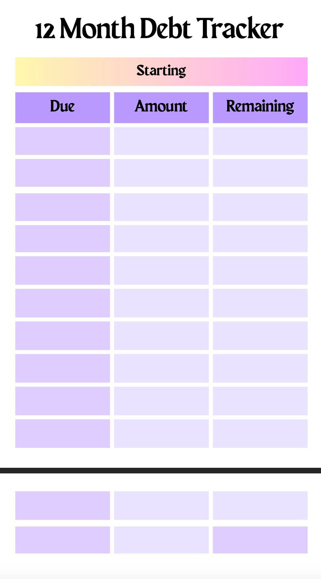 12 Month Debt Tracker Template - Etsy