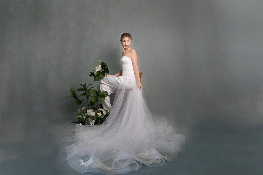 Open Front Removable Train With Horsehair Edging and Lace Applique ...