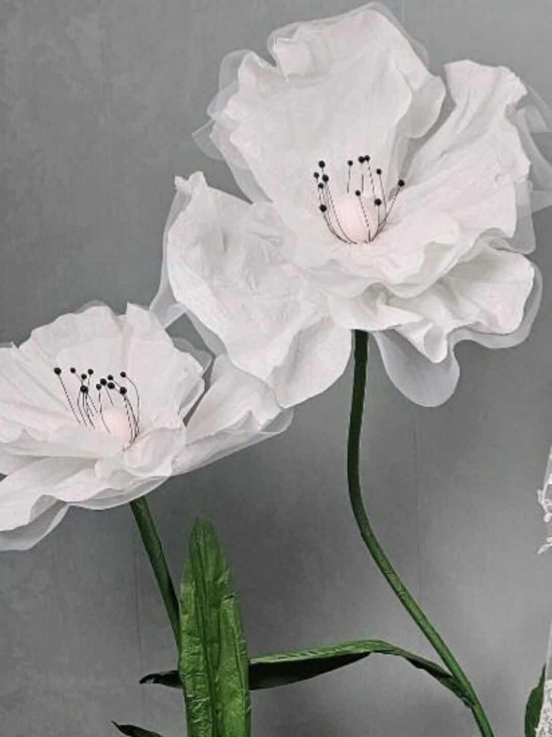 Postage Fee and Price Difference - Etsy