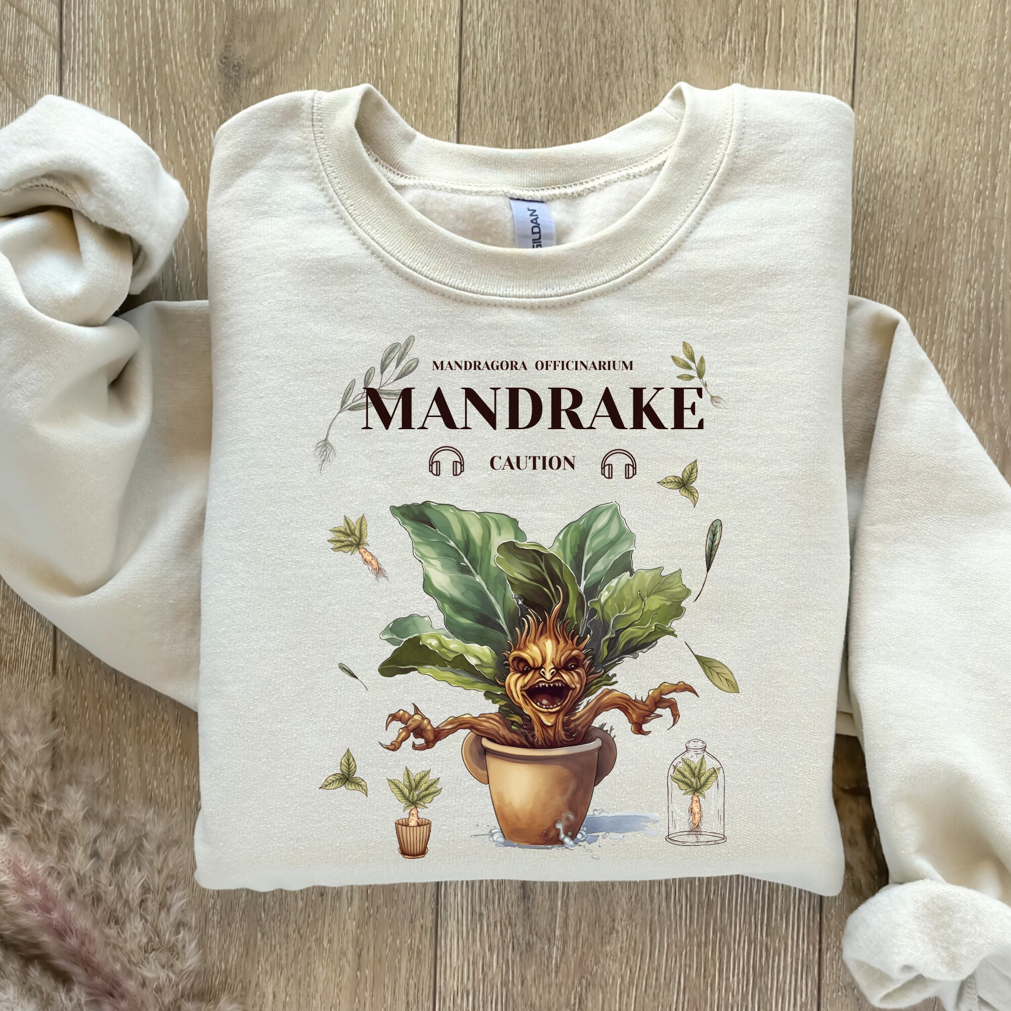 HP Mandrake Wizard Png Magical Items Png Magic School Png - Etsy