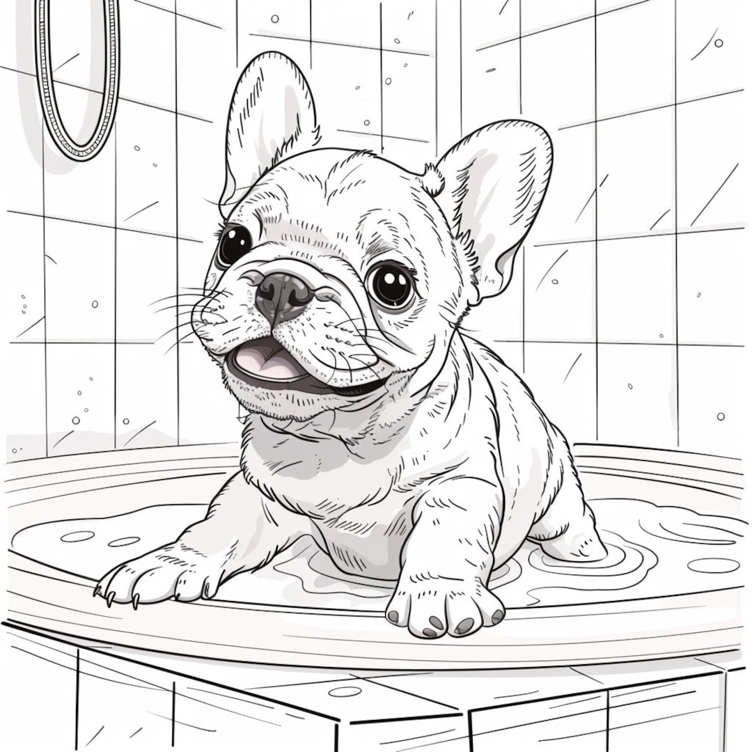 Dog Coloring Pages French Bulldog