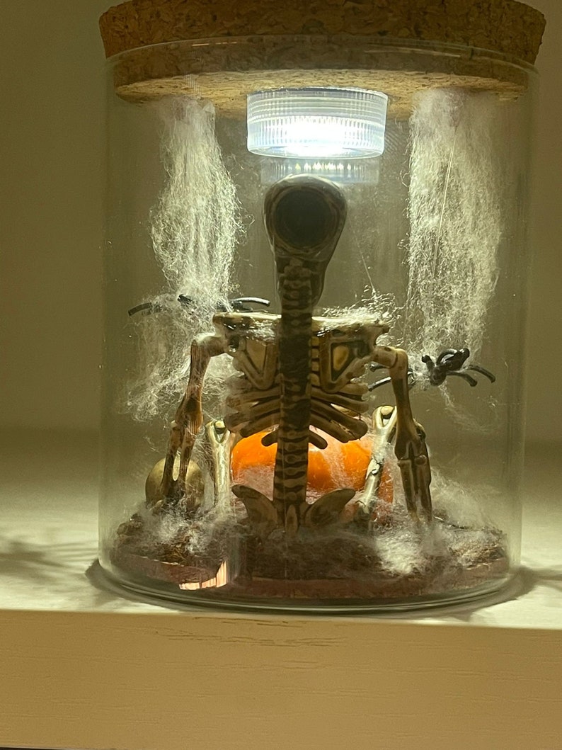 Halloween "haunted" Jar (made in Italy) - Etsy