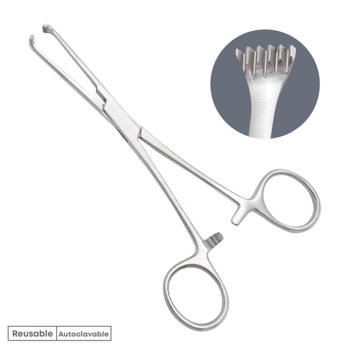 Pinzas de tejido Allis de 15 cm y 5 x 6 dientes, pinza quirúrgica de ...