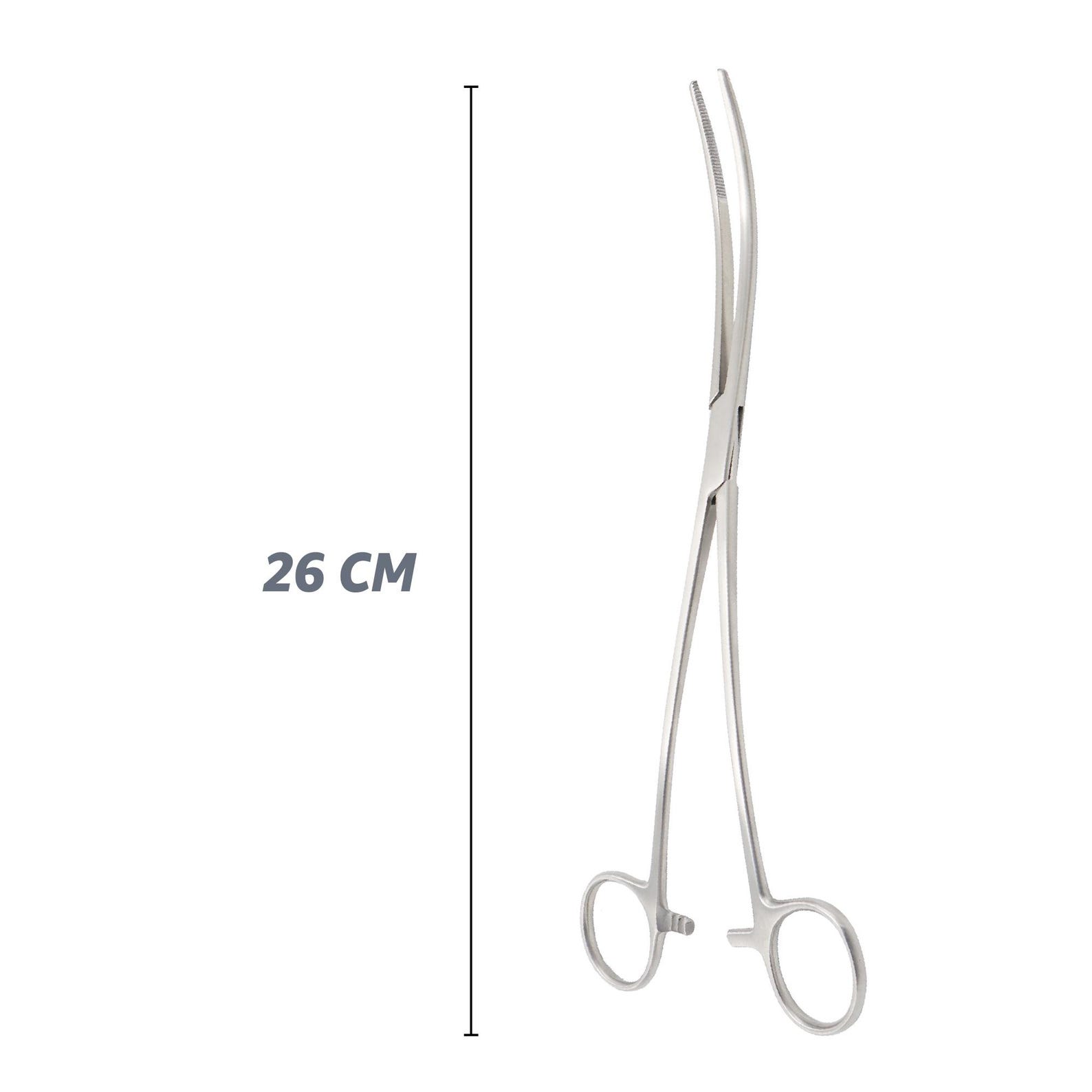 Bozemann Dressing Forceps 26cm Curved Reusable Surgical Clamp Stainless ...