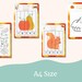 Autumn Preschool Activity Book: Counting & Coloring Pages (digital ...